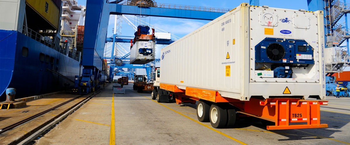 International Reefer Shipping - Atlantic Project Cargo