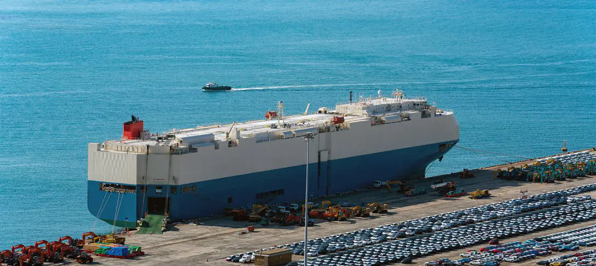What is a RoRo Cargo Ship