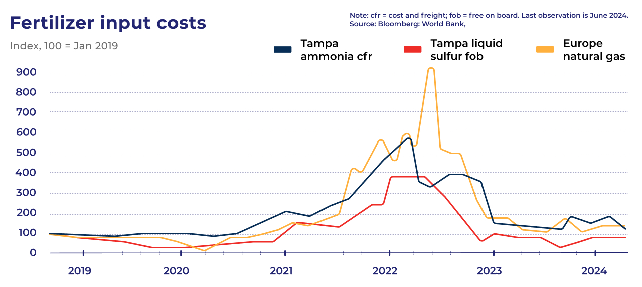 Global Fertilizer Market Outlook 2025
