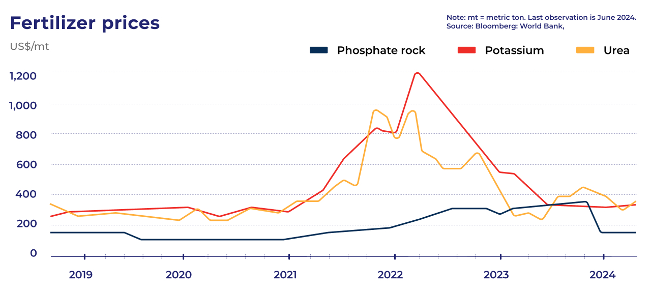 Global Fertilizer Market Outlook 2025