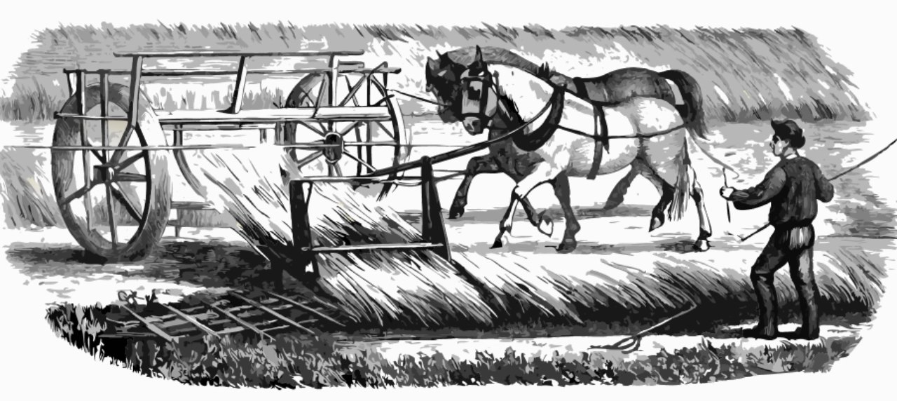 What You Should Know about Combine History: Full Guide